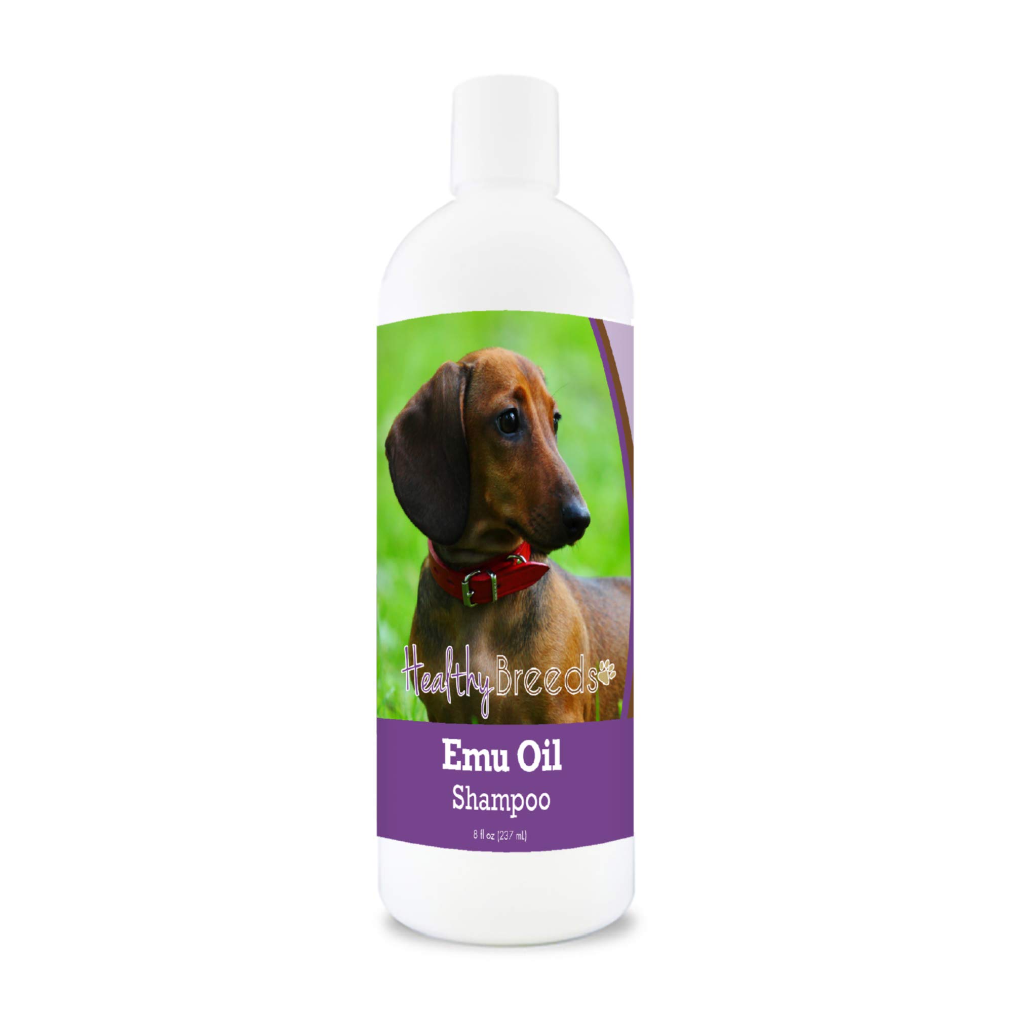Amazon.com: Healthy Breeds Dachshund Emu Oil Shampoo 8 oz