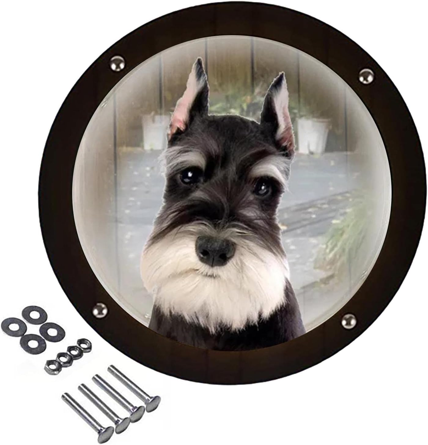 Dog Window - Acrylic Dome Transparent Dome Pet Bubble Window - Dog ...