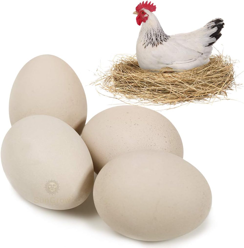 Amazon.com : SunGrow Ceramic Chicken Egg Pack, 2.75 Inches, Real Color, 4 Pcs per Pack : Pet ...