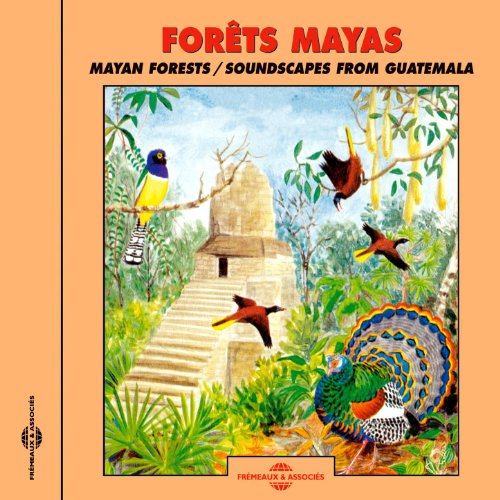 Amazon.com: Mayan Forest : VARIOUS ARTISTS: Digital Music