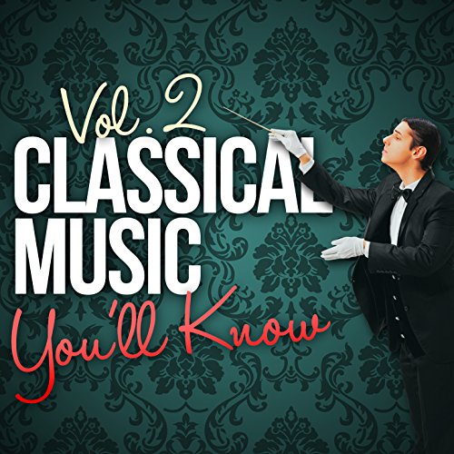 Amazon.com: Classical Music You'll Know, Vol. 2 : Wolfgang Amadeus ...