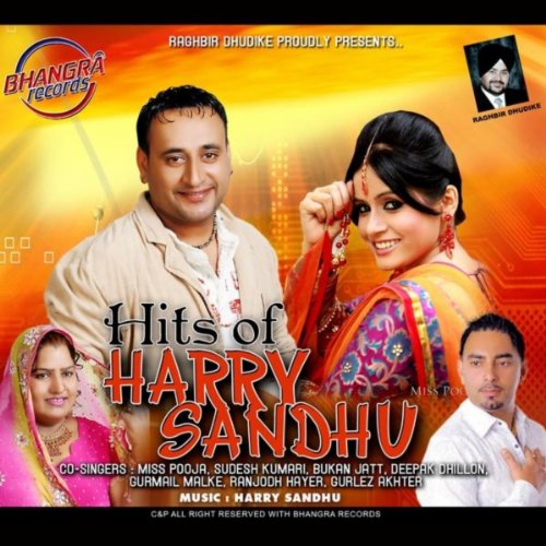 Amazon.com: Hits of Harry Sandhu : VARIOUS ARTISTS: Digital Music