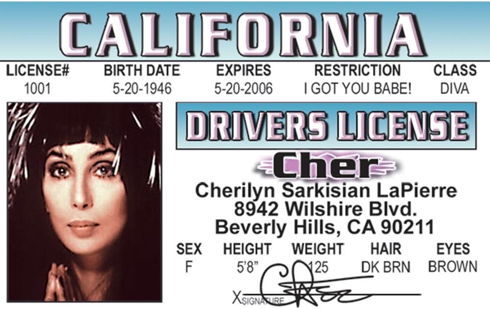 Amazon.com: Signs 4 Fun Parody Driver’s License | Cher ID | Fake ID ...