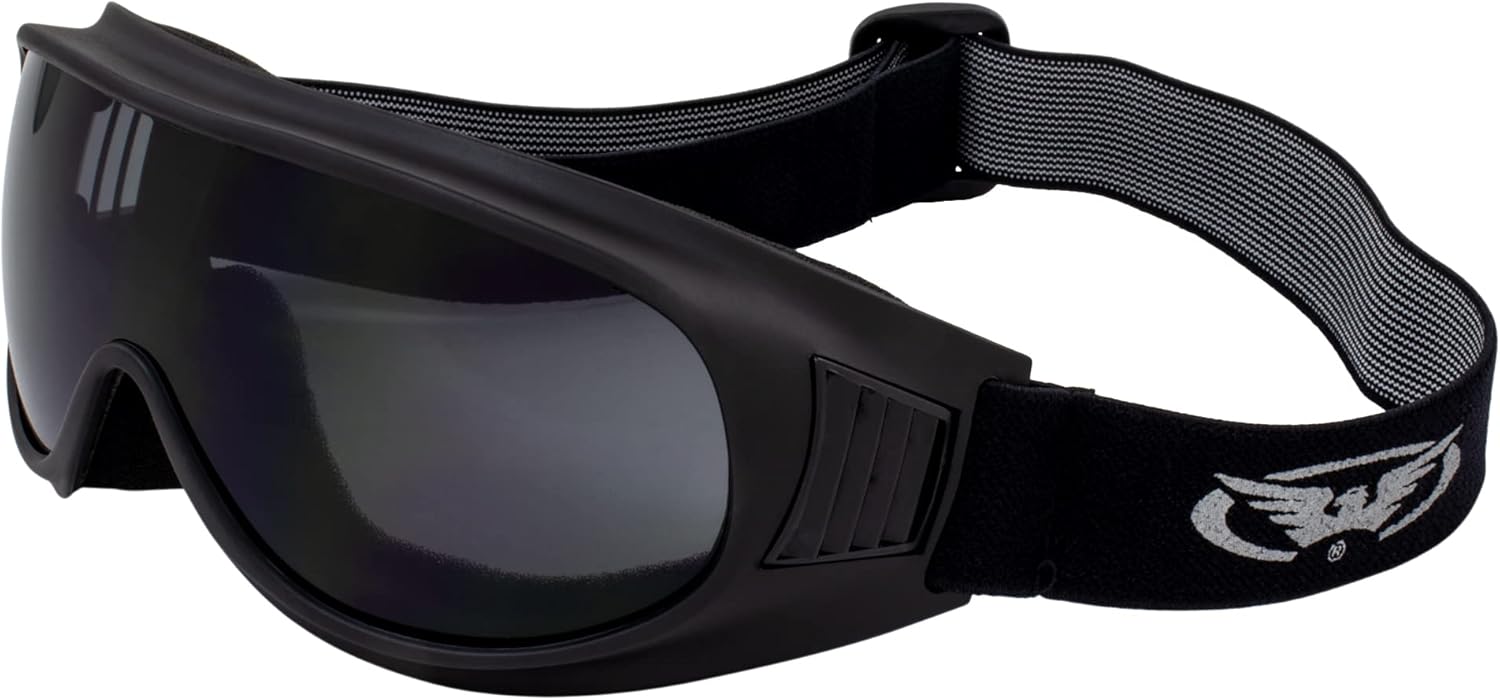 Amazon.com: Global Vision Eyewear Trump Motorcycle Goggles with Storage ...