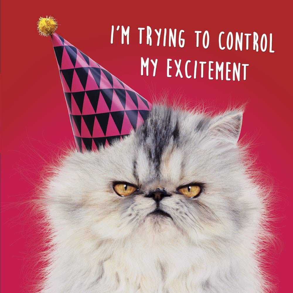 Grumpy Cat Birthday Cards Funny Greeting Cards: Grumpy Party Cat By
