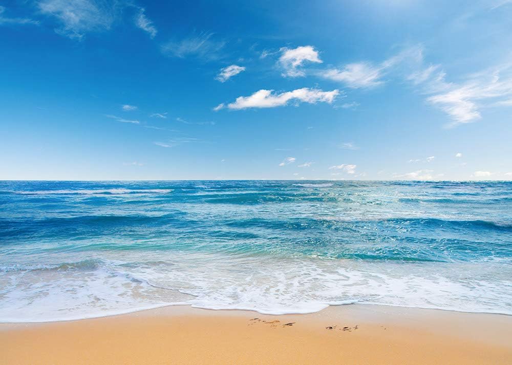 Amazon.com : Yongqian 8x6ft Seaside Beach Photography Backdrop Blue Sky ...