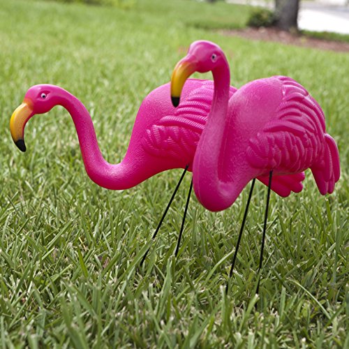 Hot Pink Flamingo 2 pack : Amazon.in: Toys & Games