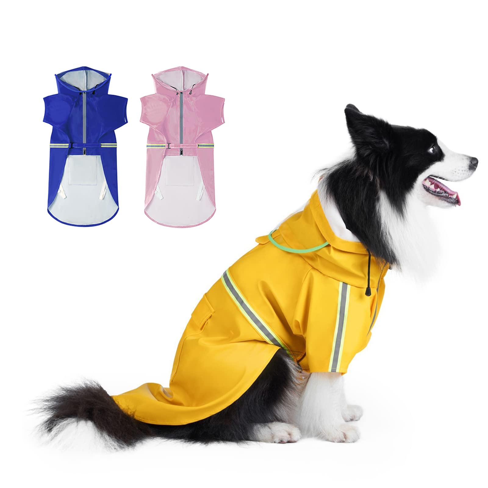 Do Dogs Like Being In The Rain