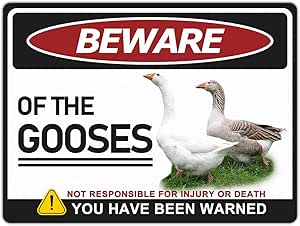 Amazon.com : BAIWIFE Gooses Warning Sign 8x12inch, Beware of Gooses ...