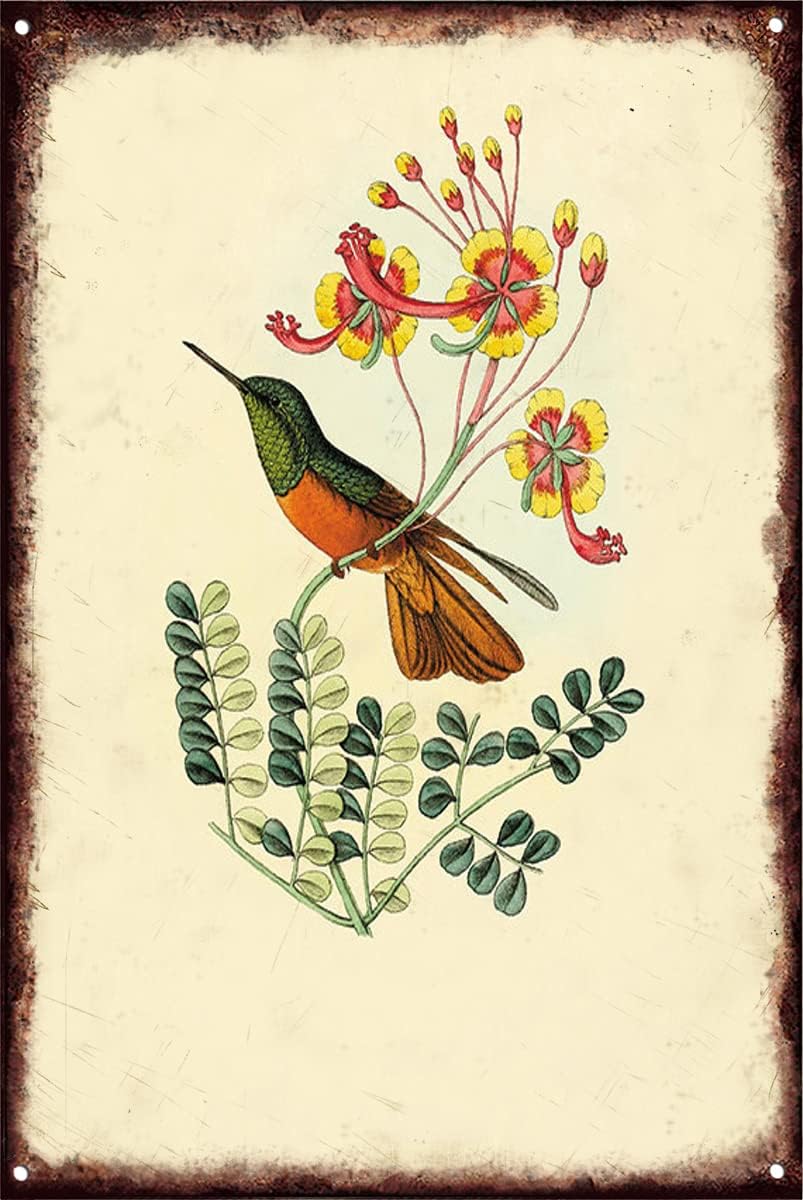 Amazon.com : Hummingbirds Vintage Metal Tin Sign Gift Wall Decor For ...