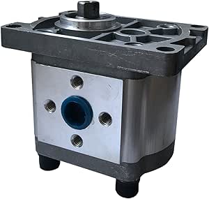 Amazon.com: Gear Pump Hydraulic Oil Pump CBT-F310 CBT-F306 CBT-F320 CBT ...