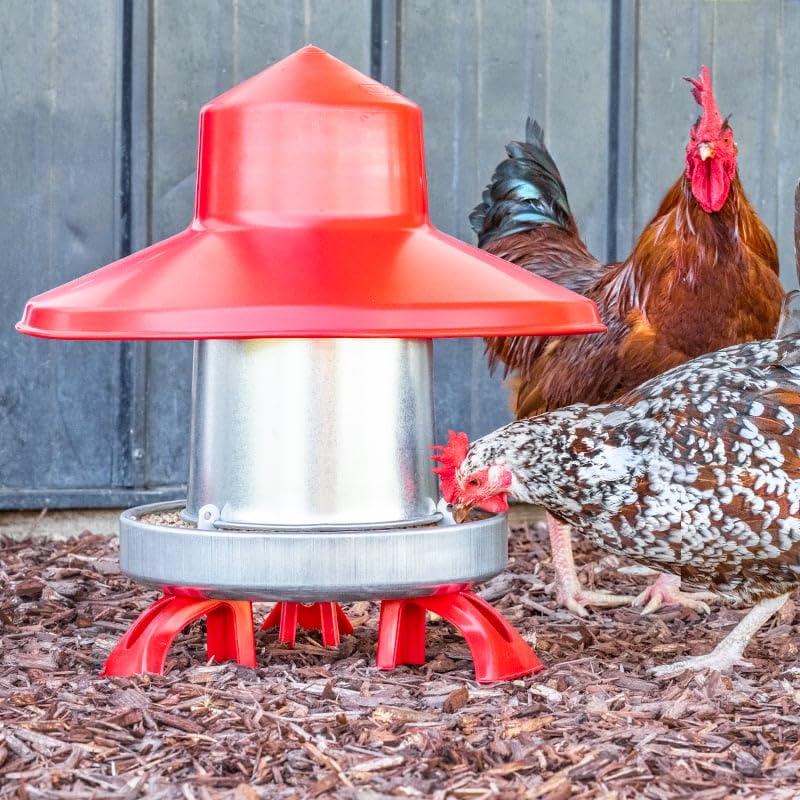 Comedero Para Pollos Galvanizado Comedero De Acero Galvanizado Con