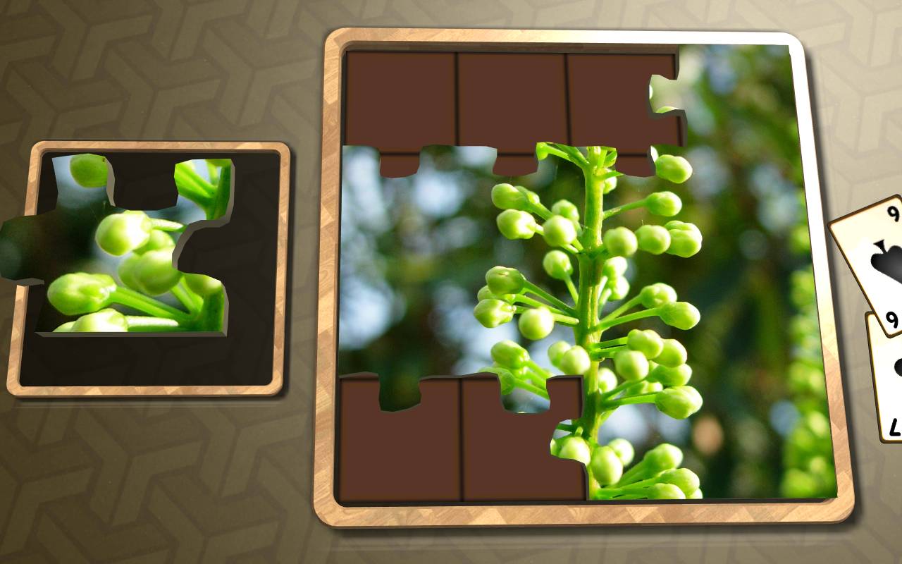 Jigsaw Solitaire - Plants FireTV:Amazon.co.jp:Appstore for Android