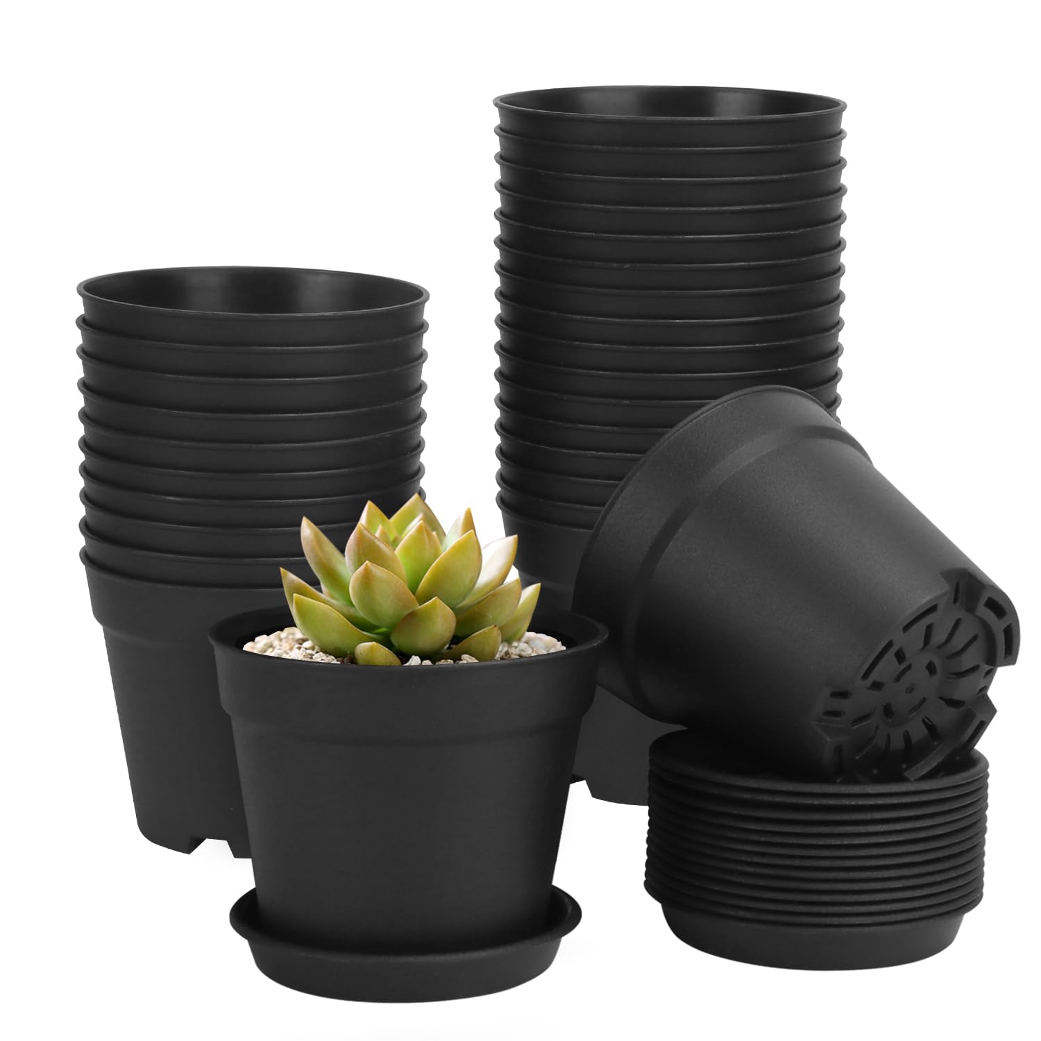 Amazon.com: IHDYPPEW 56 Pack 4 Inch Small Plant Pots, Flower Pot Set ...