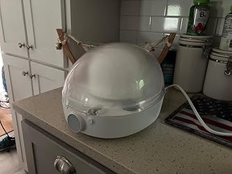 Amazon.com: INNOPAW Automatic Cap Cleaner with steam and Dry,steam ...