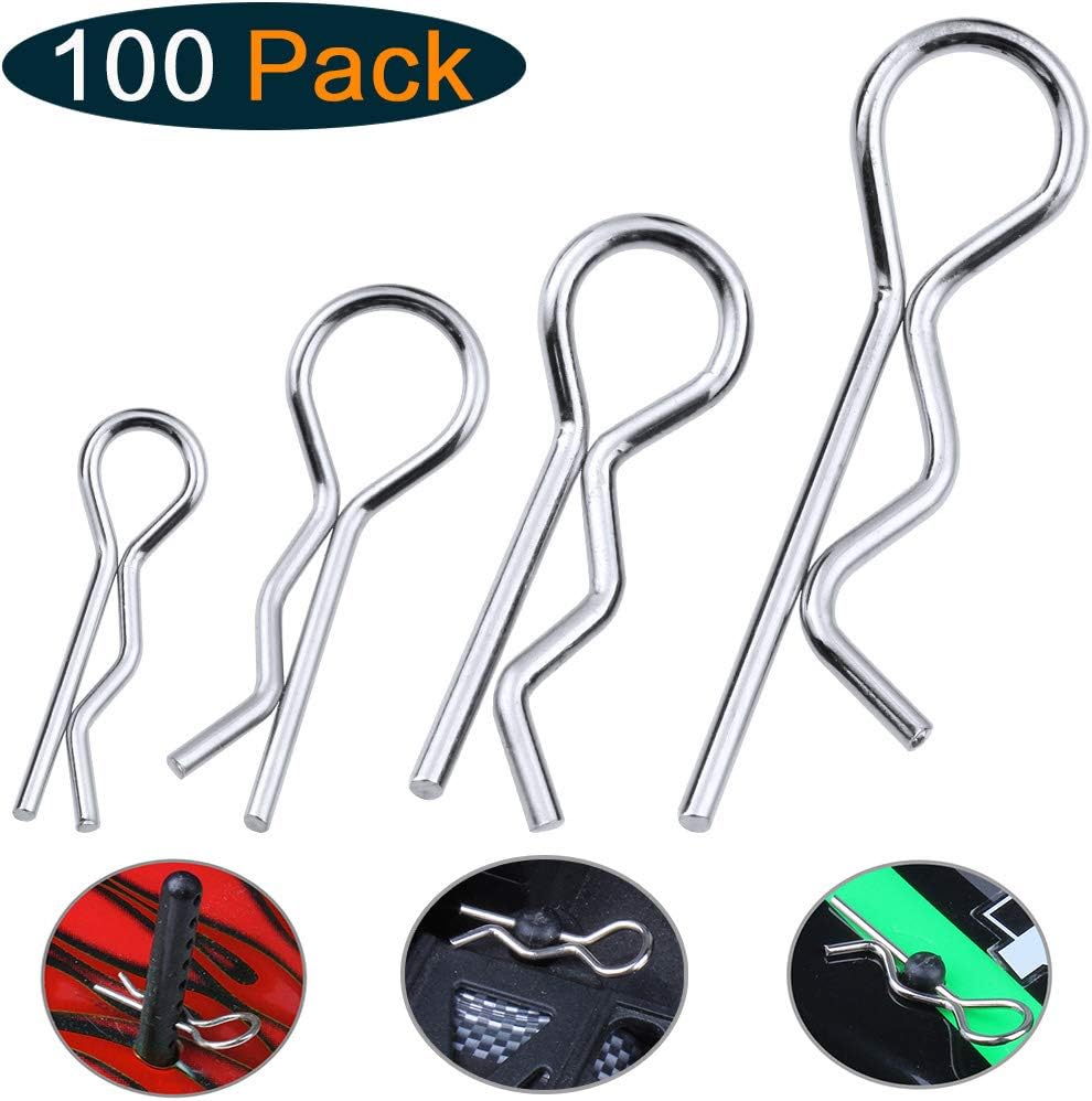 100-Pack 1/18-1/5 Small-Large Body Clips Pins RC Car Truck Buggy ...