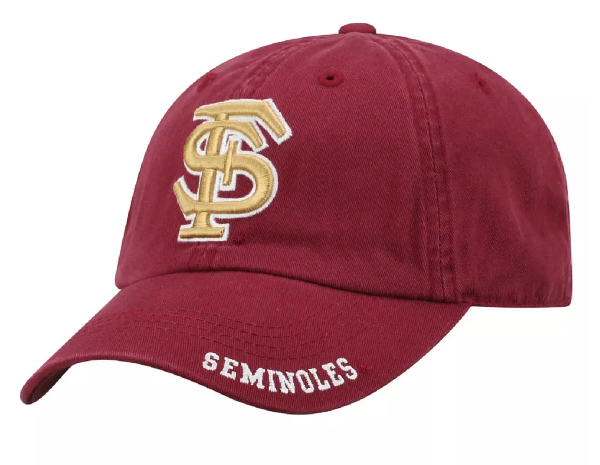 Amazon.com: Florida State Classic Edition Hat Official Team Logo ...