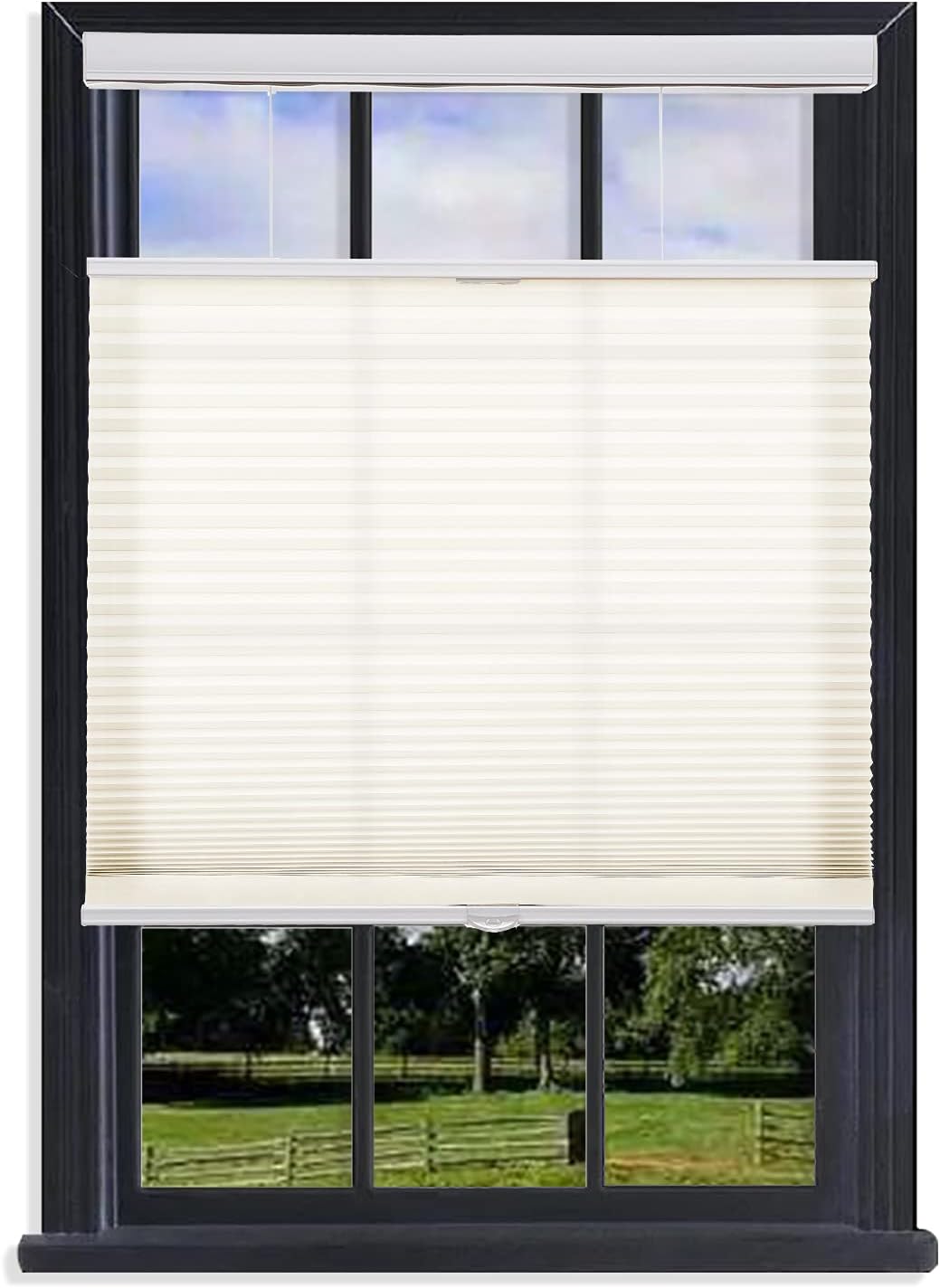 Amazon.com: Custom MYshade Cellular Window Shades, Light Filtering Top ...