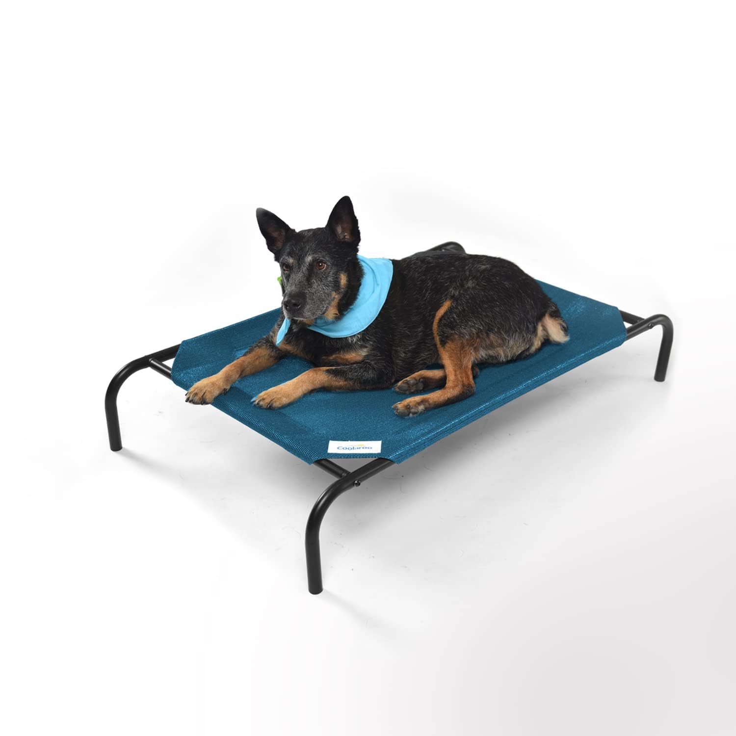 Snapklik.com : Gale Pacific Coolaroo The Original Cooling Elevated Pet Bed