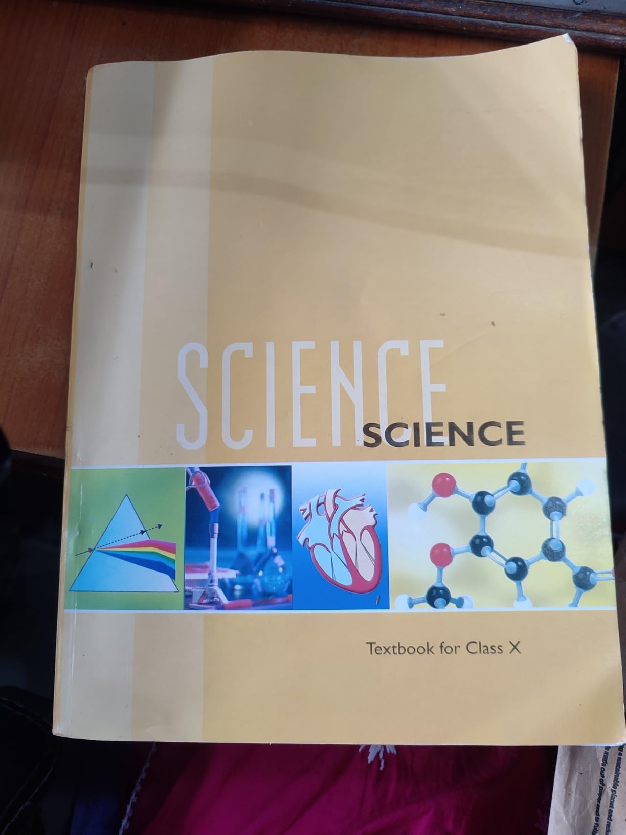 NCERT Science Textbook for Class 10 : NCERT: Amazon.in: Books