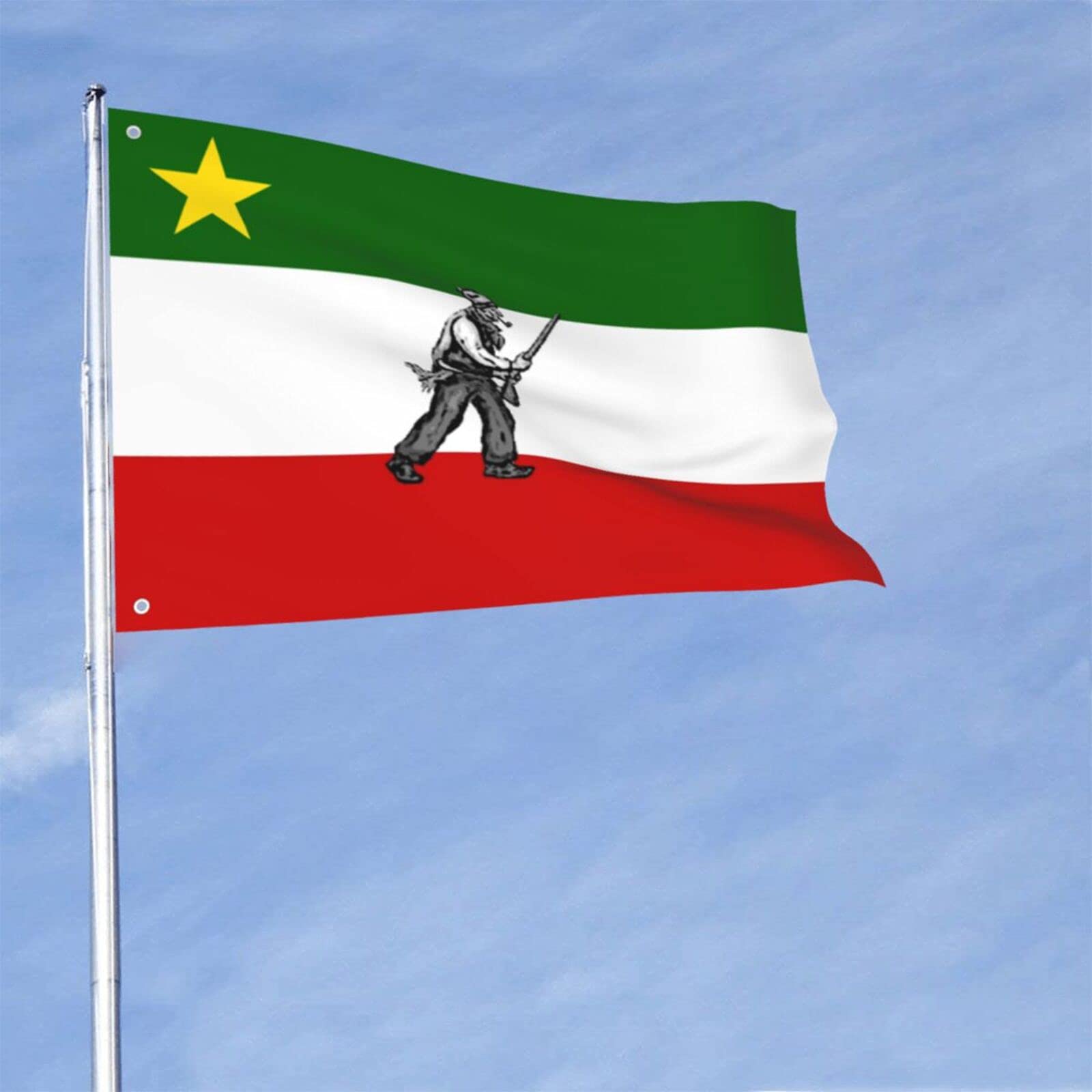 Le Drapeau Patriote Présidentielle Au Brésil : Les Partisans De