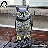 Amazon.com: Ugold Solar Powered Owl with Motion Detection, Silent Mode ...