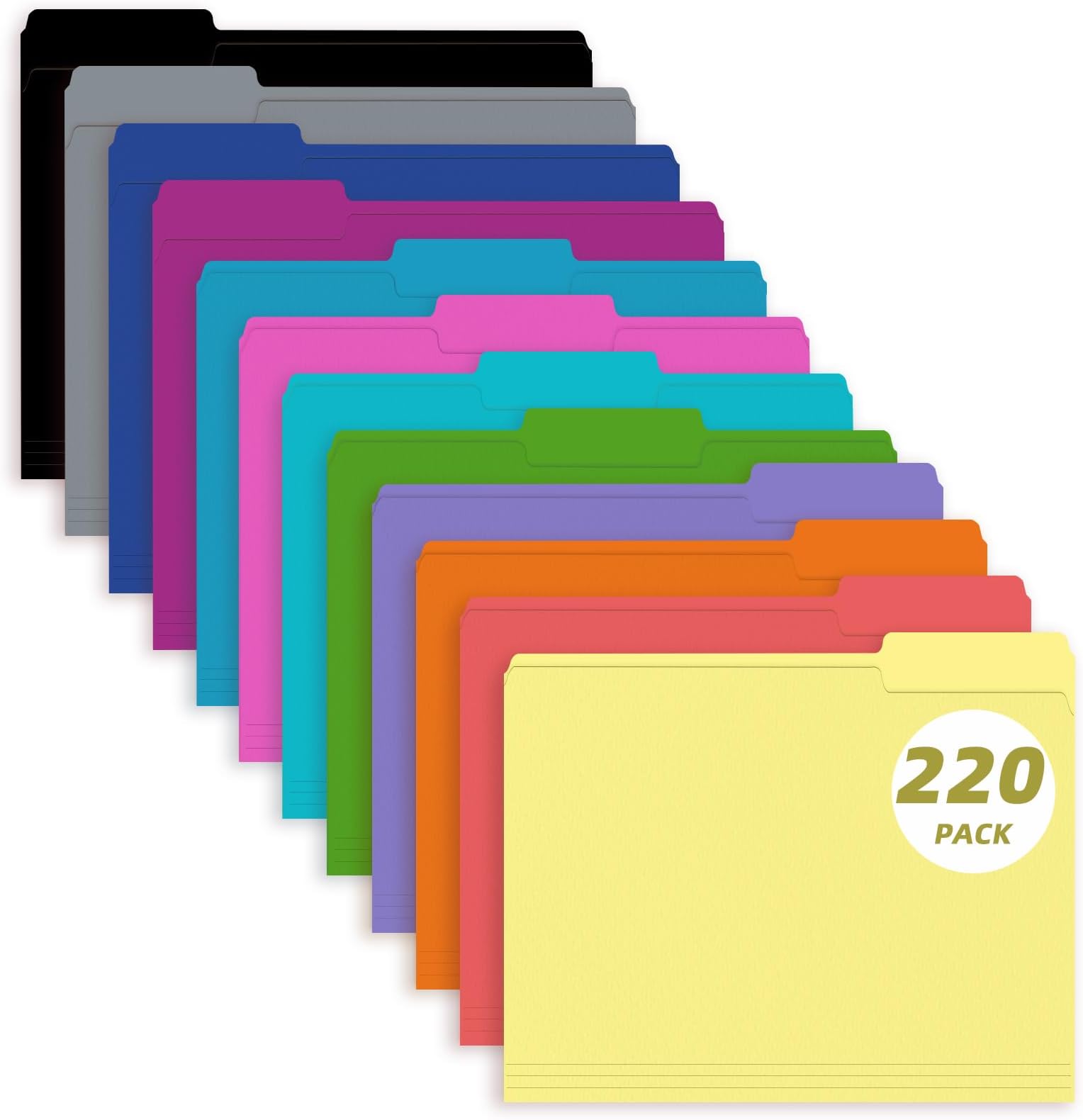 Amazon.com : File Folder, PANDRI 220 Pack Colored File Folder, 1/3 Cut ...