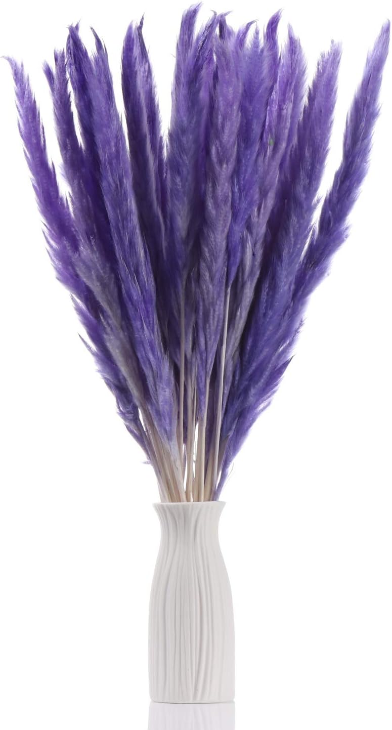 Amazon.com: 30pcs Natural Dried Pampas Grass Bouquets 17 inch Fluffy ...