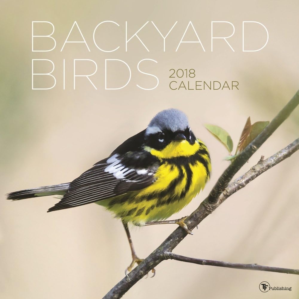 Amazon.com: 2018 Backyard Birds Wall Calendar : Office Products