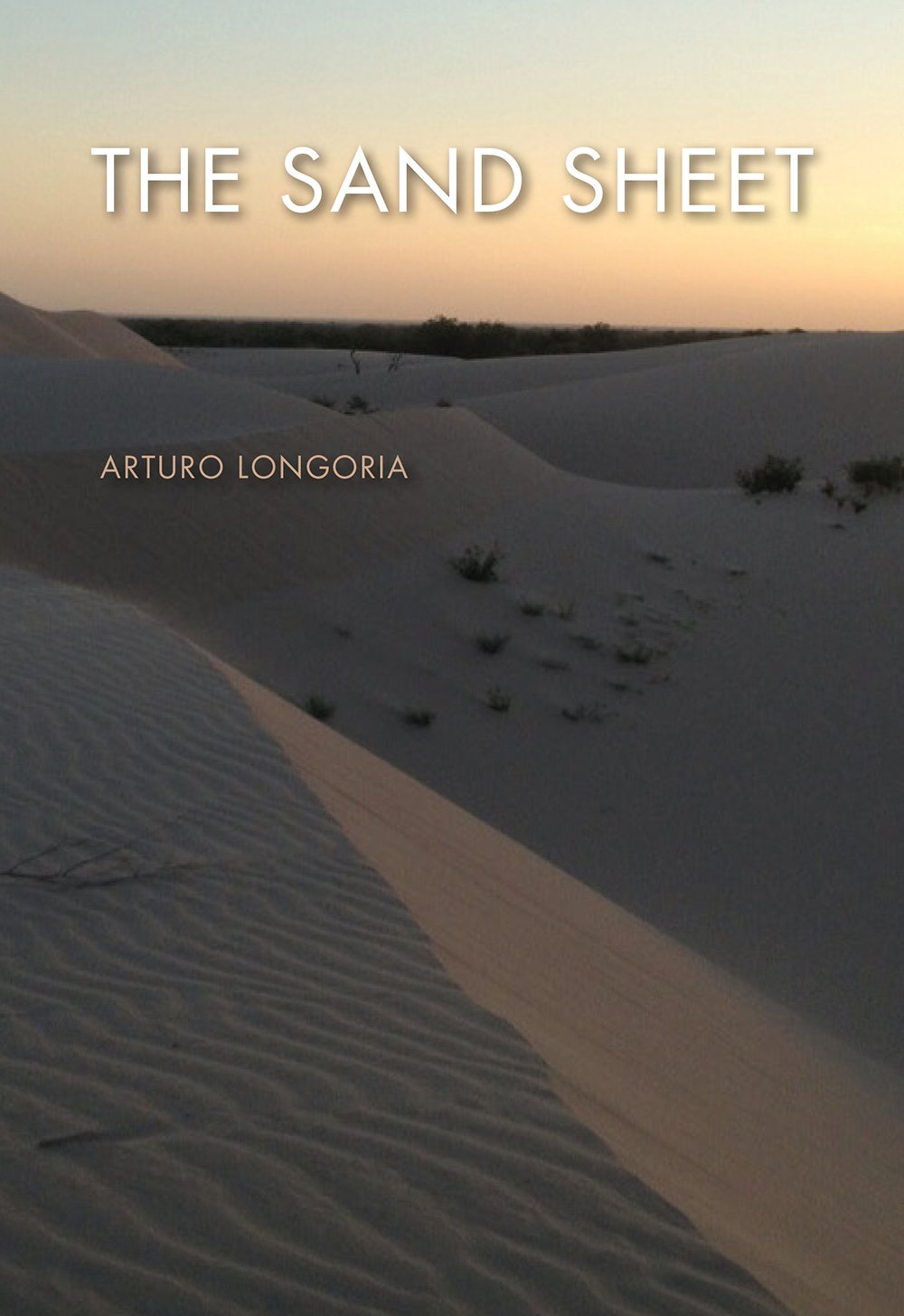 The Sand Sheet (The Seventh Generation: Survival, Sustainability ...