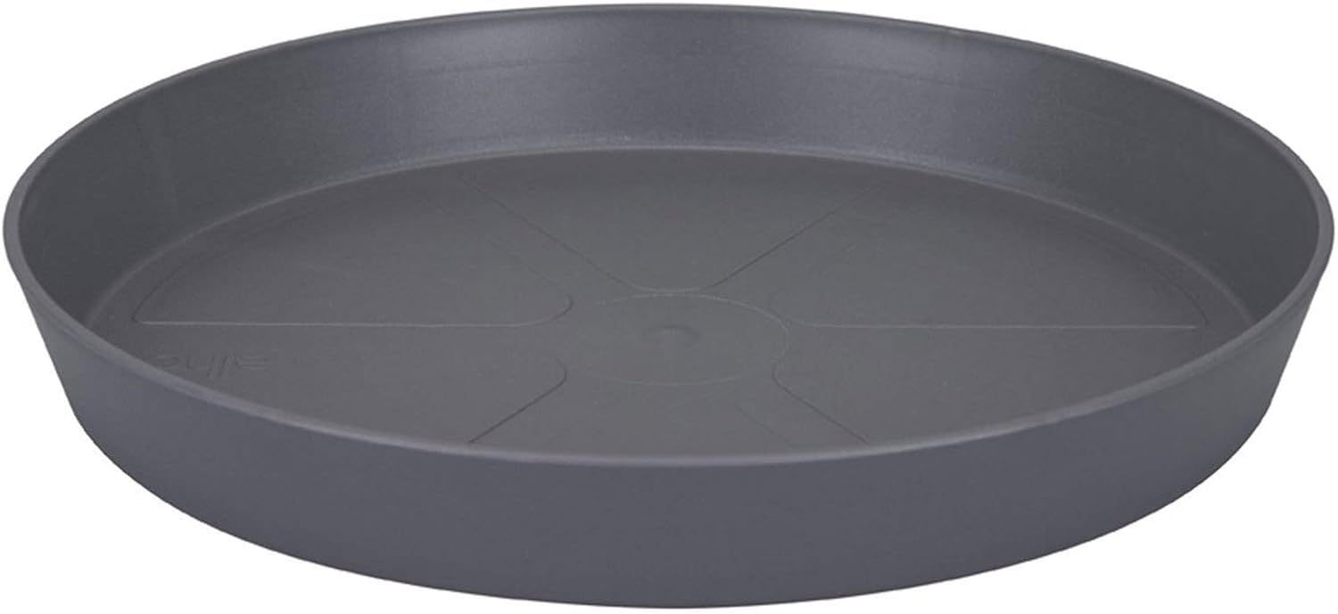 Amazon.co.jp: 2 x Heavy Duty Clear Small/Large Plastic Saucer Planter ...