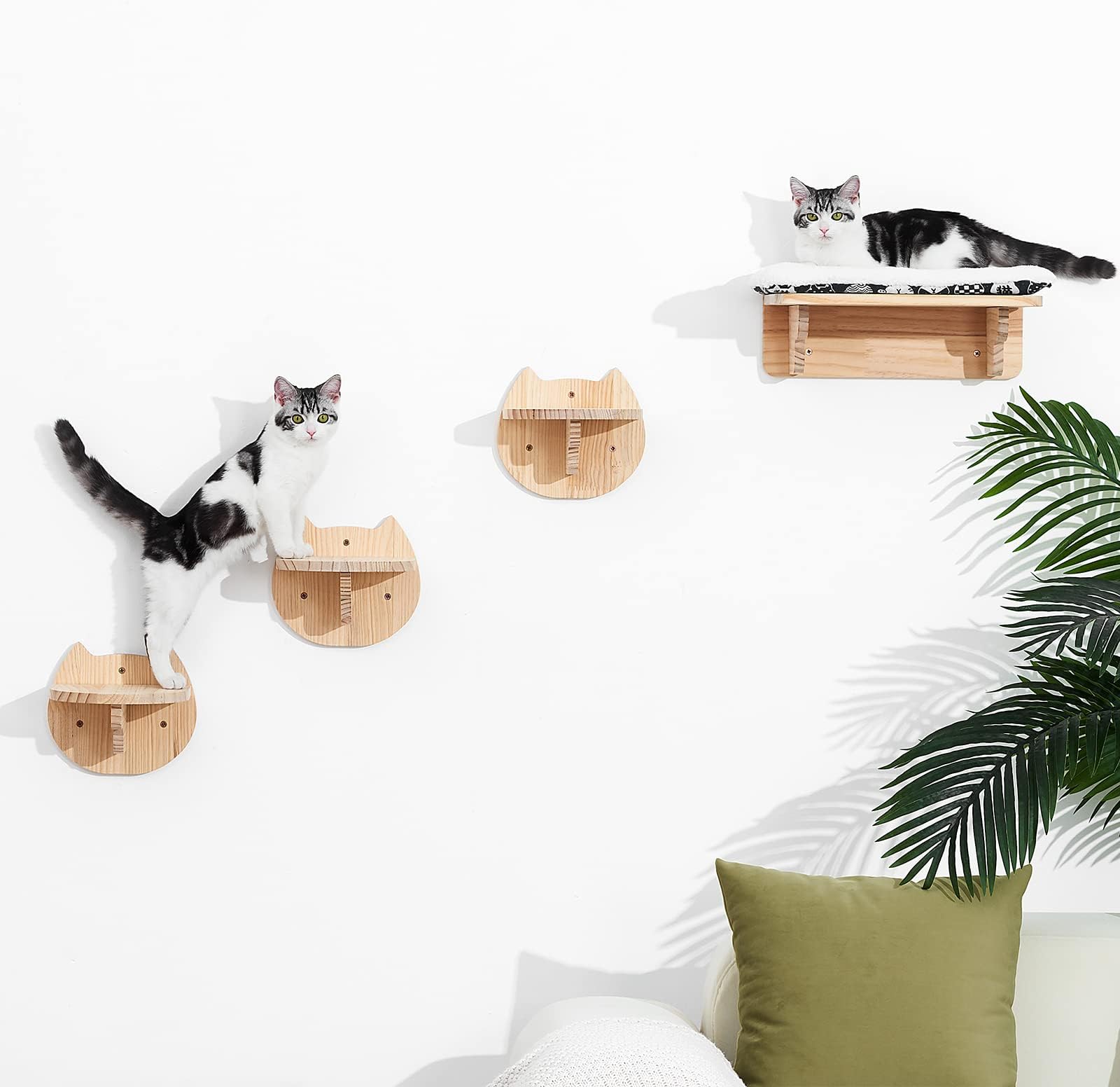 Amazon.com : Cat Wall Mounted Shelves Steps - Cat Wall Perches ...