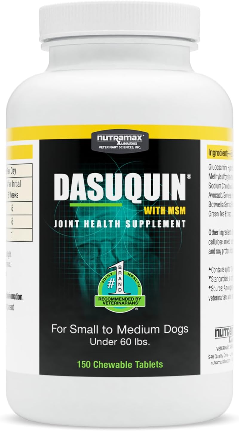 Amazon.com : Dasuquin for Large Dogs 60 lbs. & over with MSM (84 Chews ...