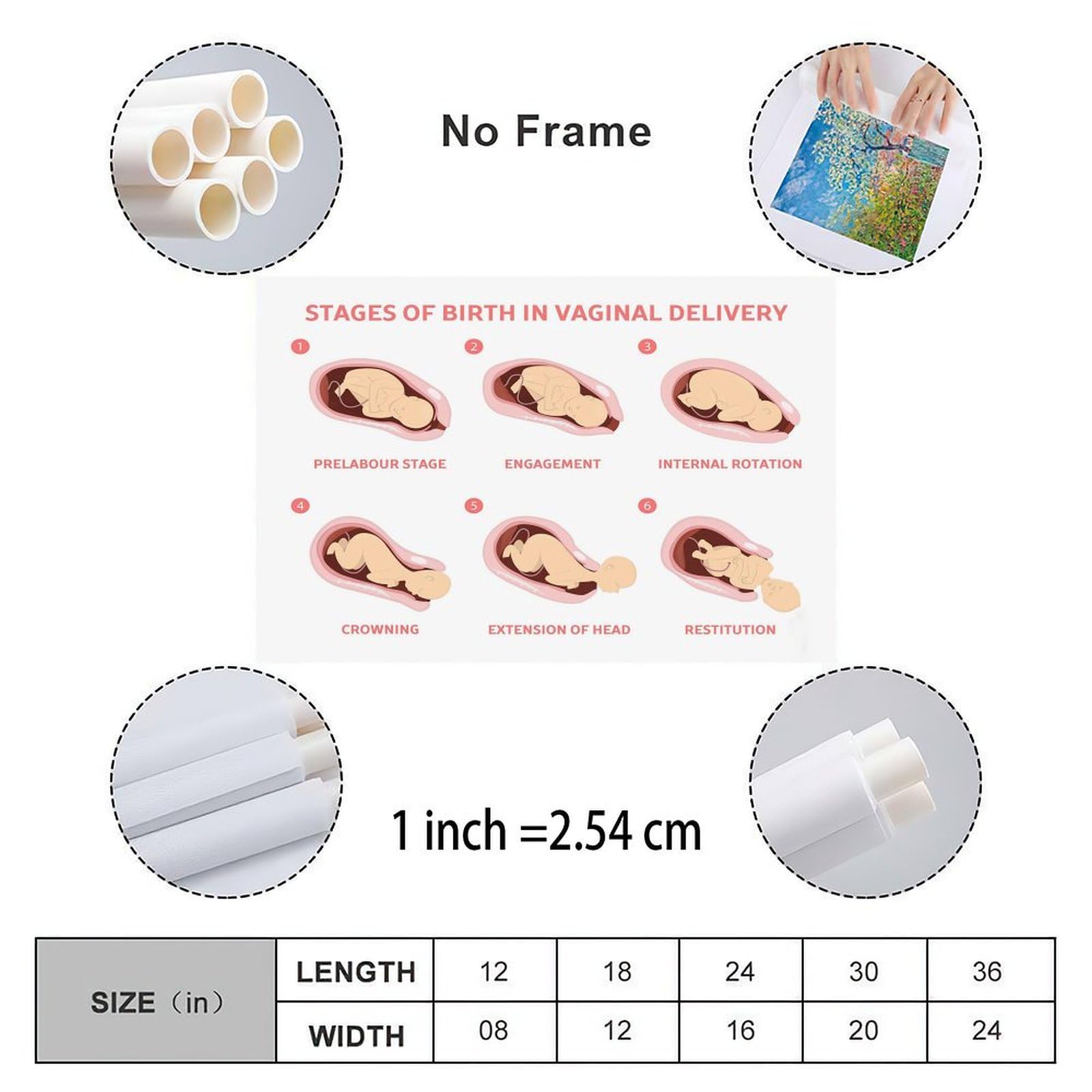 Stages Of Vaginal Delivery Amniotic Fluid During Pregnancy