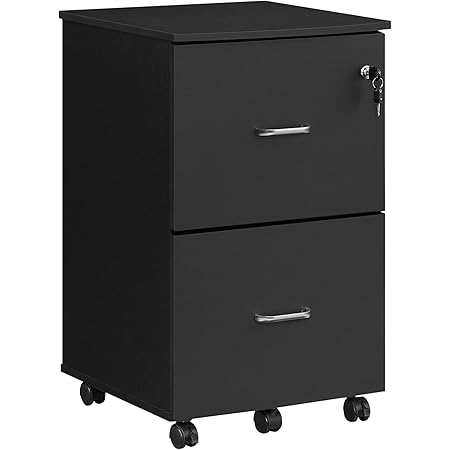 Amazon.com : VASAGLE 2-Drawer File Cabinet, Locking Filing Cabinet for ...
