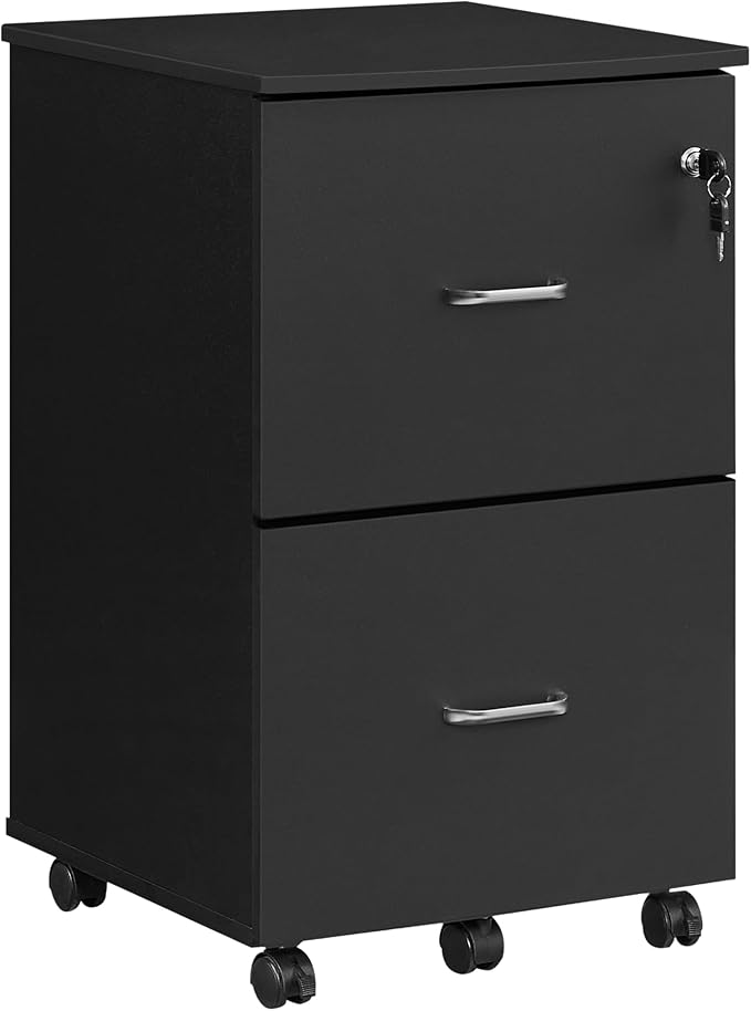 Amazon.com: VASAGLE 2-Drawer File Cabinet, Locking Filing Cabinet for ...