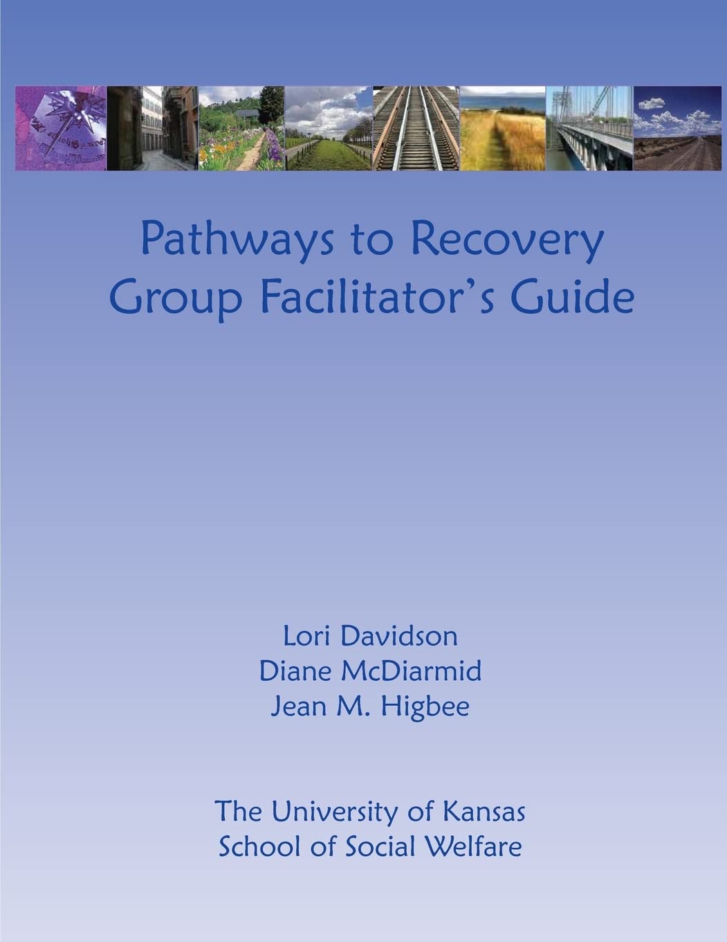 Pathways to Recovery Group Facilitator's Guide: Amazon.co.uk: Davidson ...