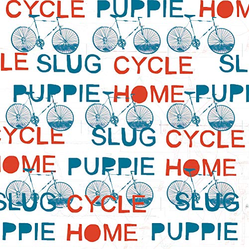 Home Cycle – Die 16 besten Produkte im Vergleich - Ruegeninsel