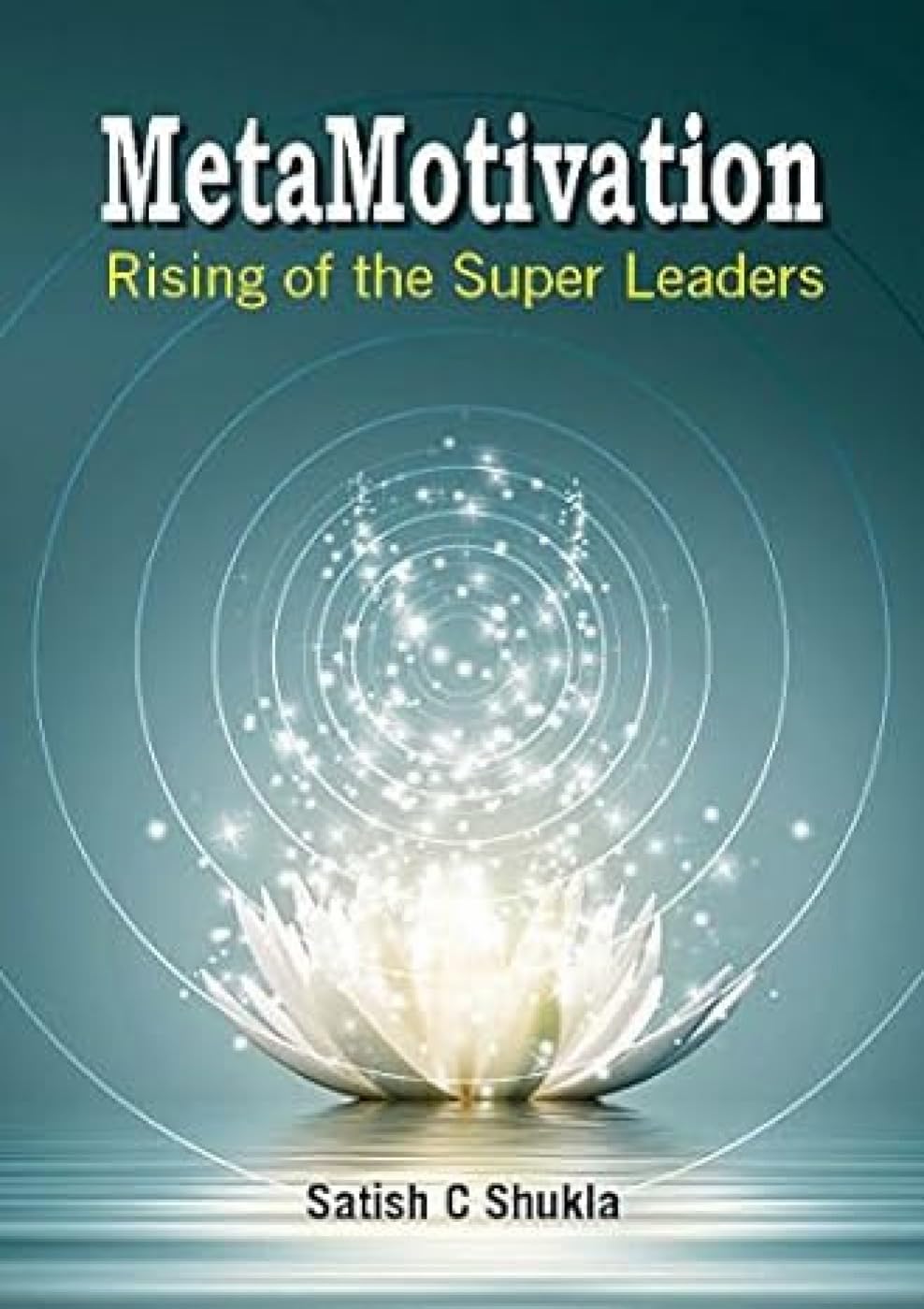 Buy MetaMotivation: Rising of the Super Leaders Book Online at Low ...