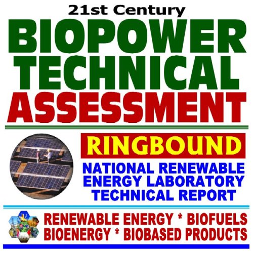 21st Century Biopower Technical Assessment National Renewable Energy ...