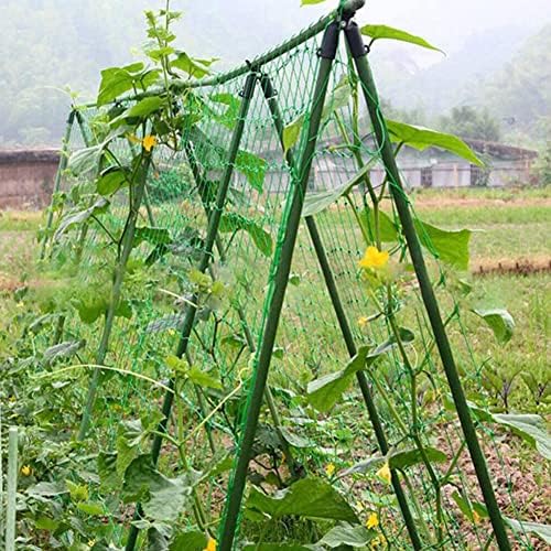 Netting Climbing Plant Support Mesh, Trellis Netting Garden Plant ...
