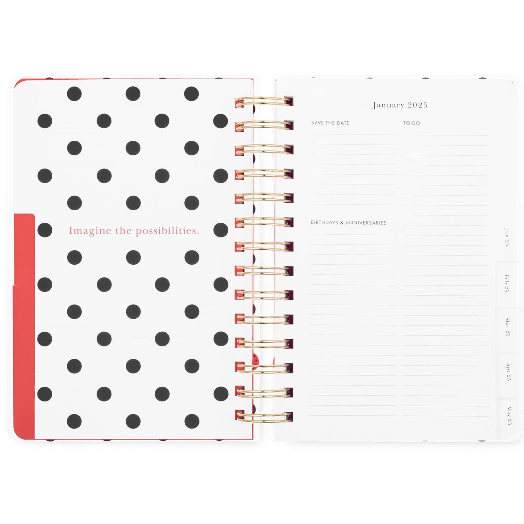 Ladybug Monthly Sticker