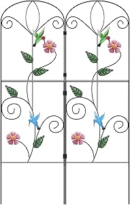 Amazon.com : Garden Trellis, 2 Pack Hummingbird Metal Garden Trellis ...