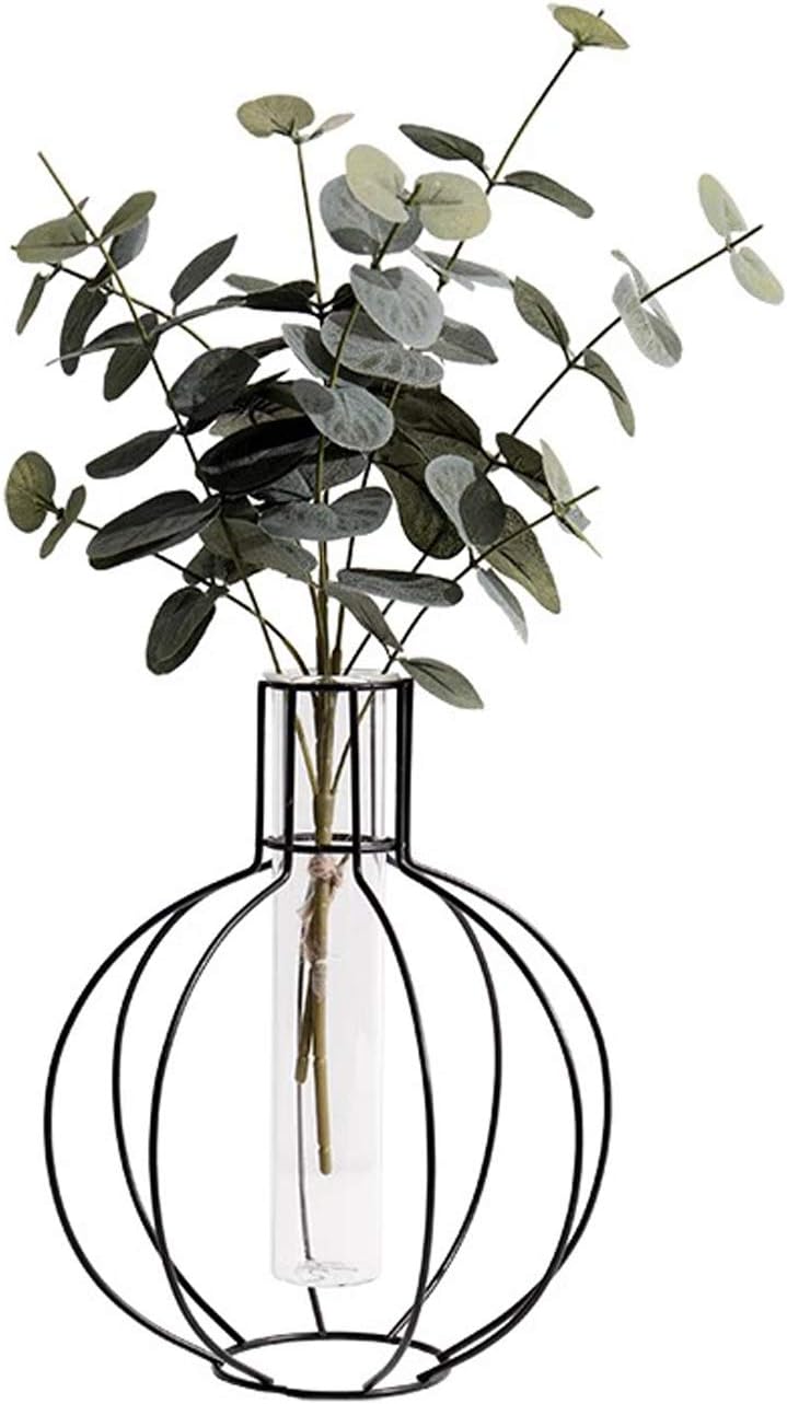 Amazon.com: Metal Frame Vase Tube Glass Planter Terrarium with ...
