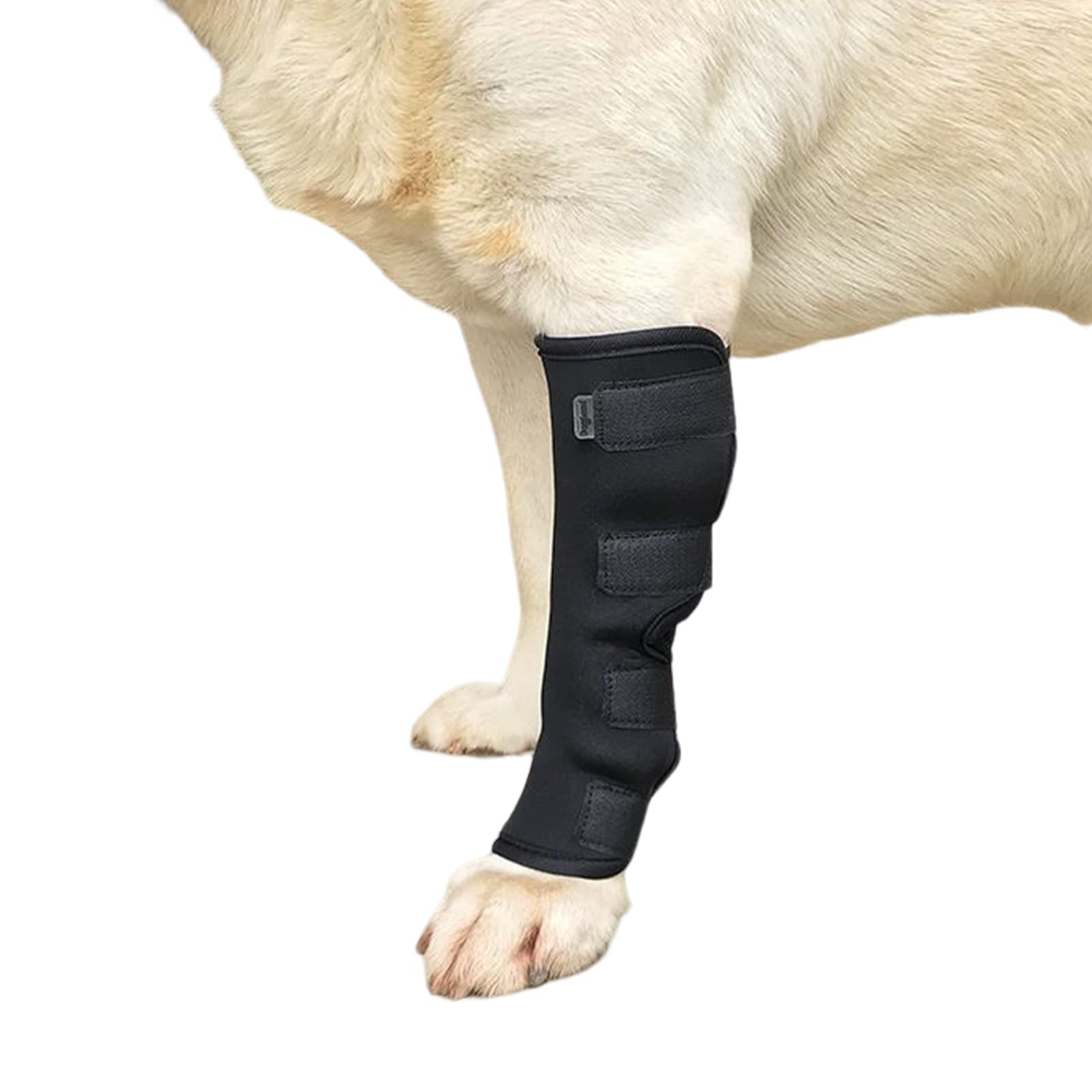 Naiveferry 1Pc Canine Dog Hock Joint Support Brace, Adjustable Pet Dog ...