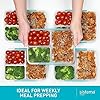 Amazon.com: Sistema To Go Multi Split Meal & Food Container with ...