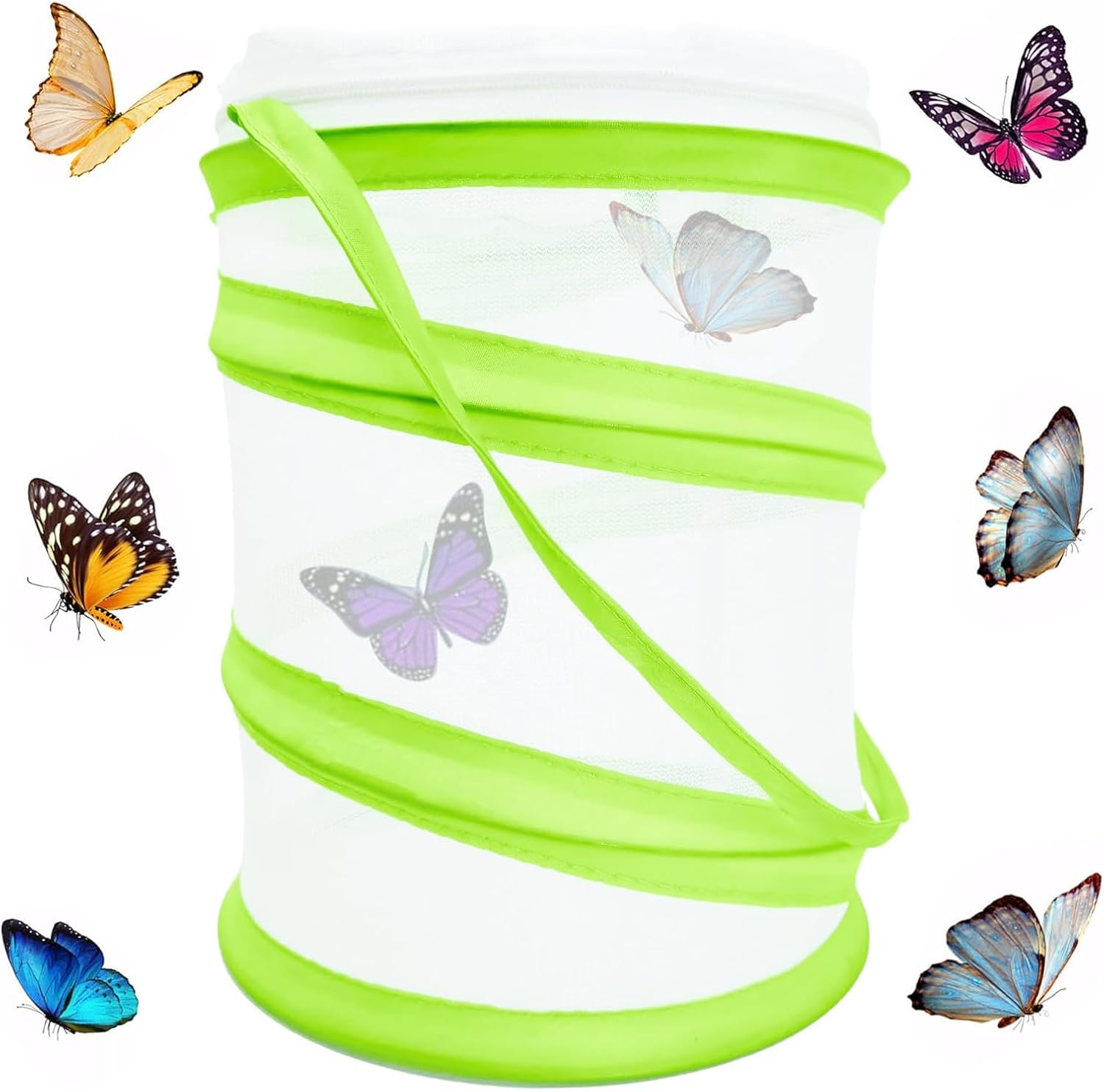 Butterfly Habitat Cage, Butterfly Enclosure, Collapsible Bug Catcher ...
