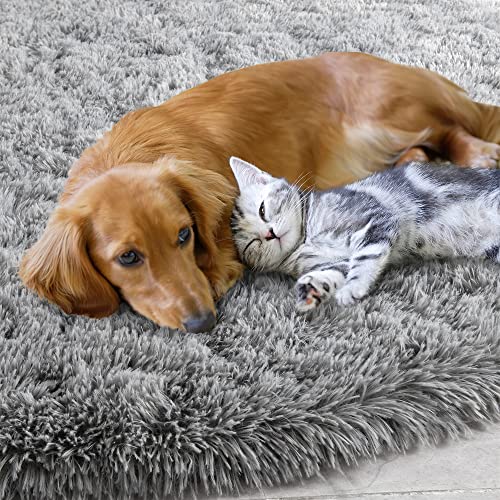 Rohatim Deep-Pile Rug Living Room Super Soft Shaggy Rug Fluffy Soft ...