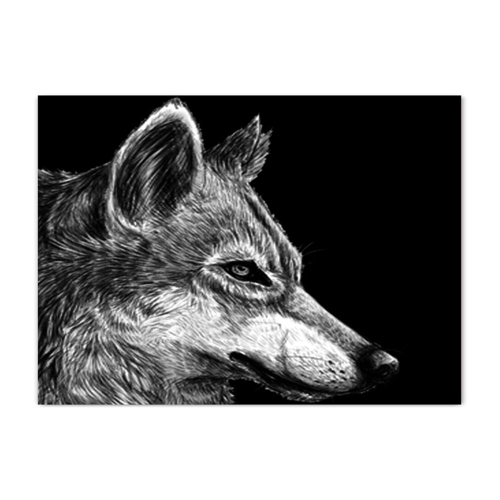 Black Wolf Drawing Easy