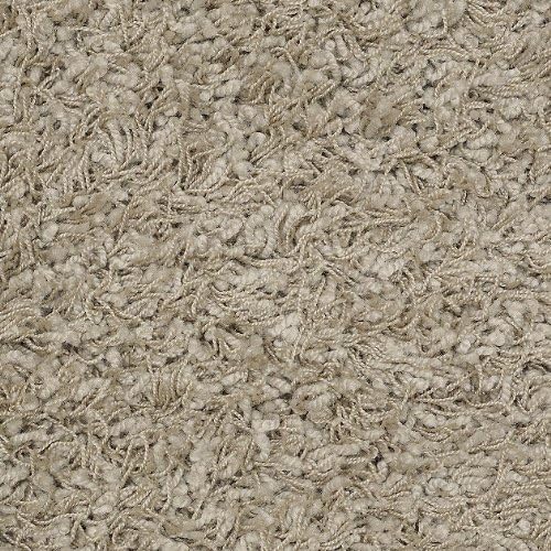 Amazon.com: Shaw Super Chic Shag Area Rug 8'x10' Y.M.C.A.: Synthetic ...